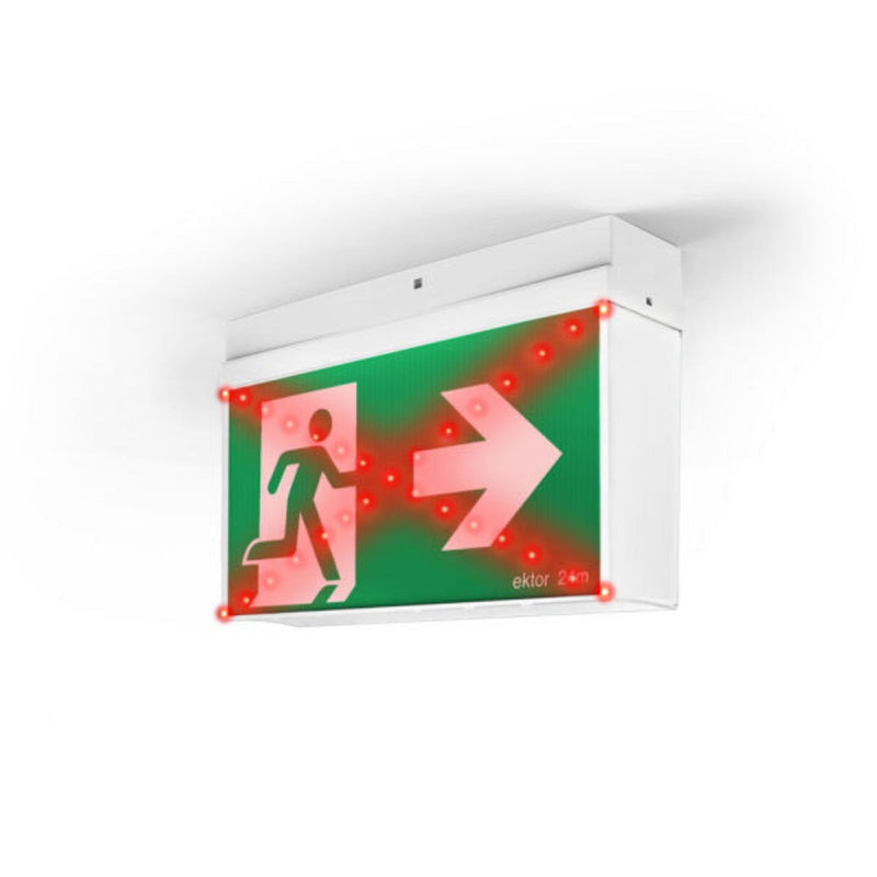 Ektor MERCURY - Dynamic Emergency Exit IP20-EK-12163-9336462121634 ...